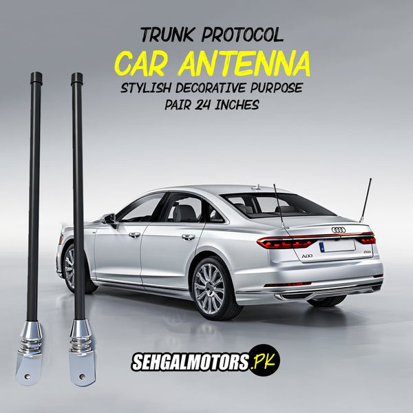 Buy Trunk Protocol Car Antenna Stylish Decorative Purpose Pair 24 ...